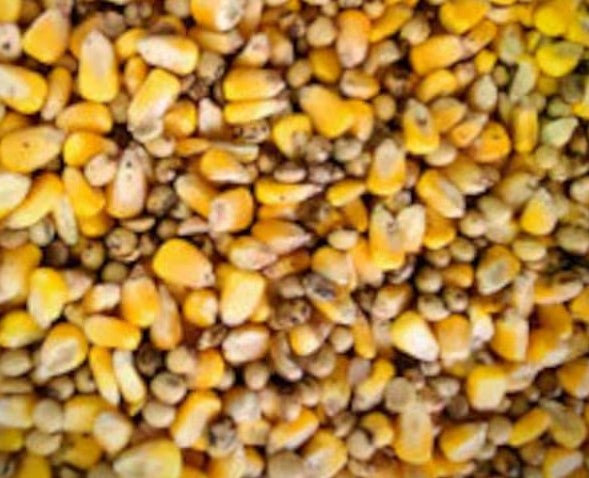 Mr. Buck Deer Corn | Lucky T Ranch Feed & Supply